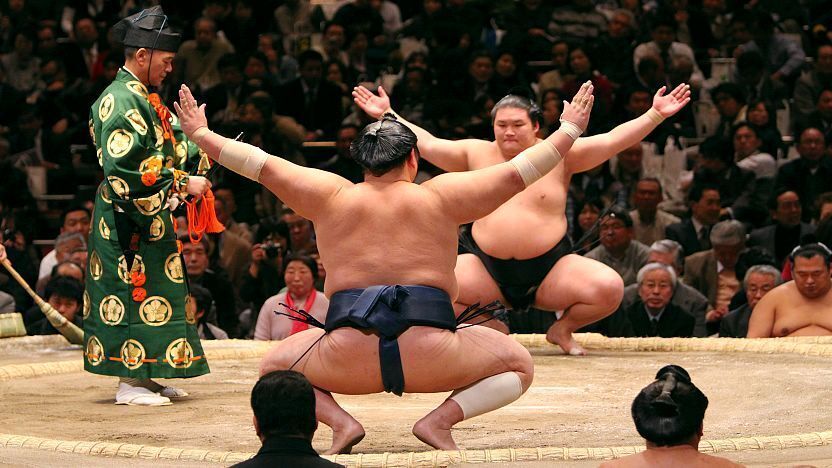 Sumo Unveiled: Tradition, Power, and the Spirit of Japan – Nihowa ...